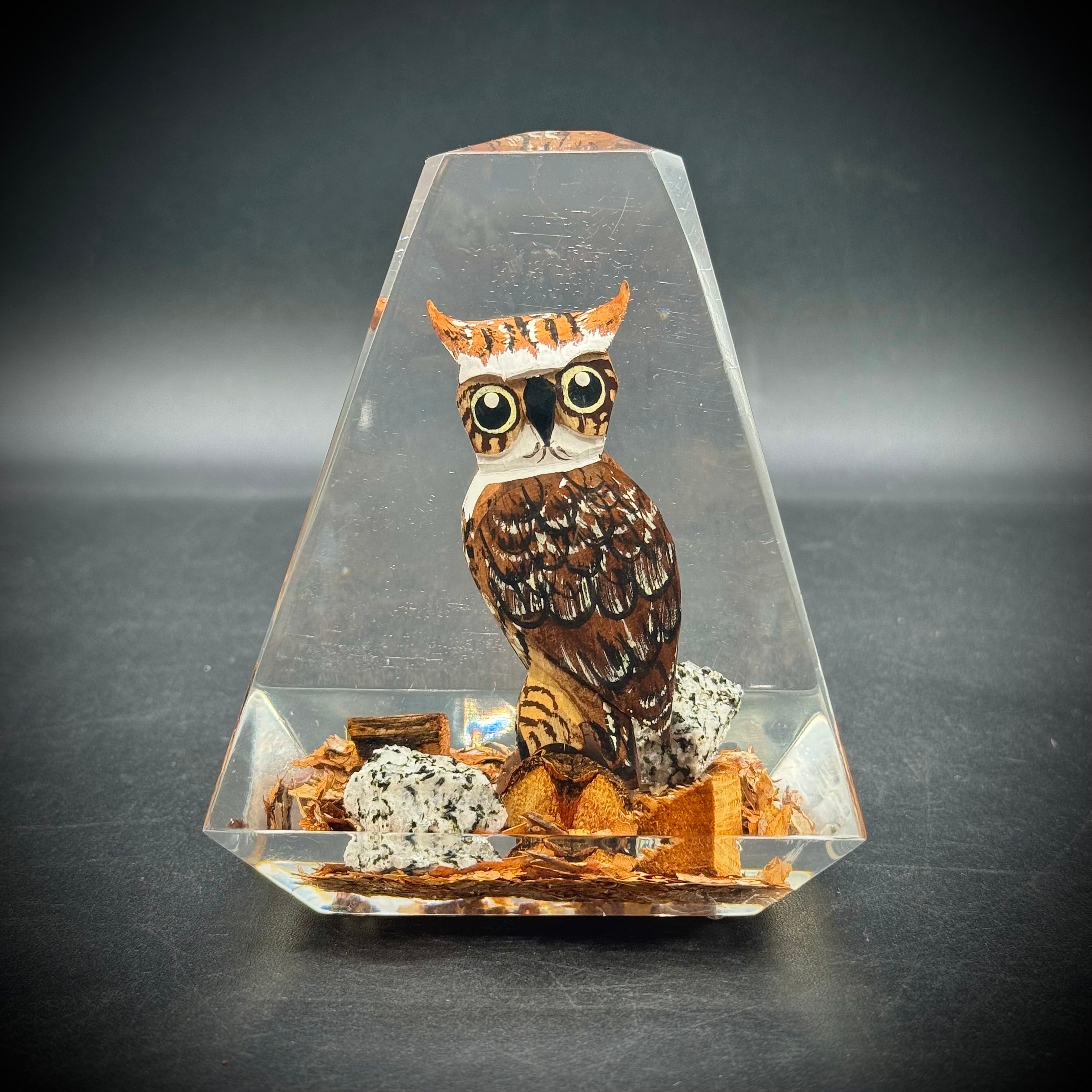 Vintage Hand Wood Carved Great Horn Owl in Lucite Paperweight – Picker ...