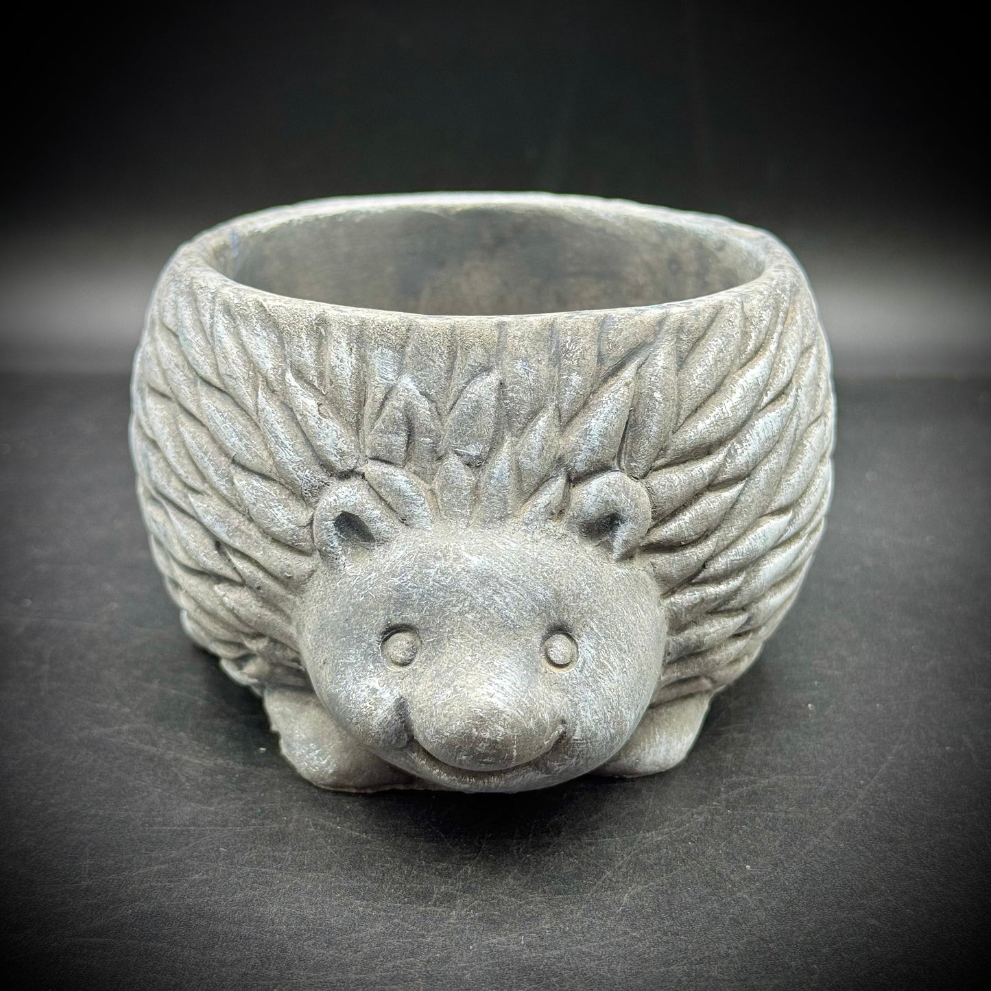Adorable Hedgehog Garden Planter - Roadie Approved! – Picker Road Boutique